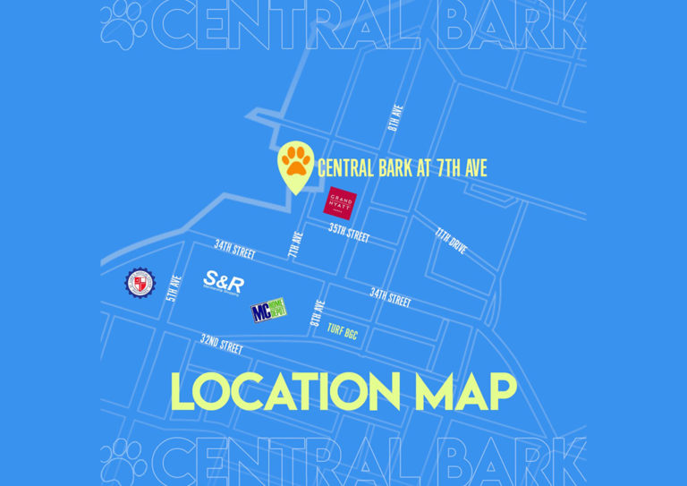 A New Pet Park in BGC Allows Fur Parents to Bring Their Fur...