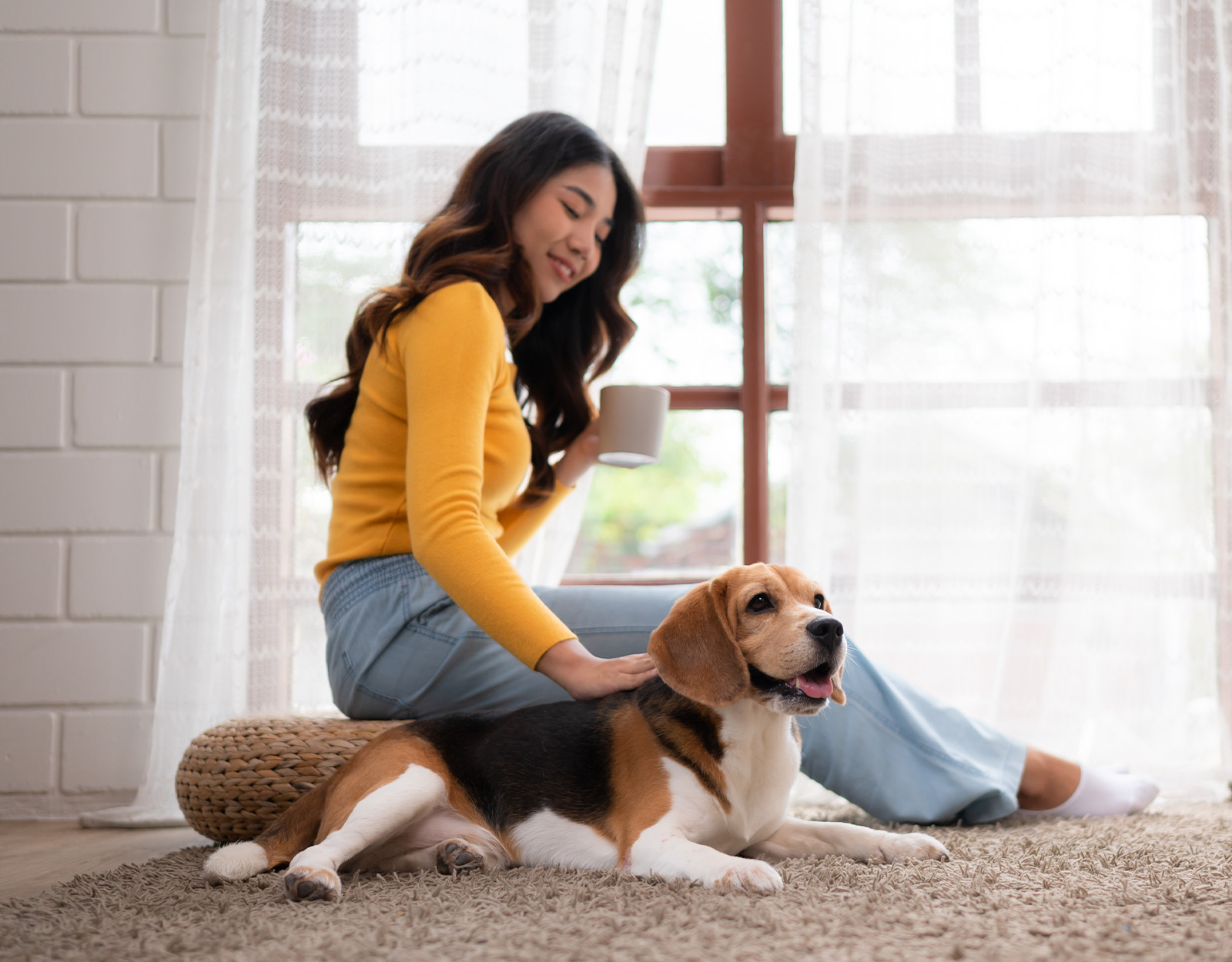 Top 6 Family-Friendly Dog Breeds According to a Vet