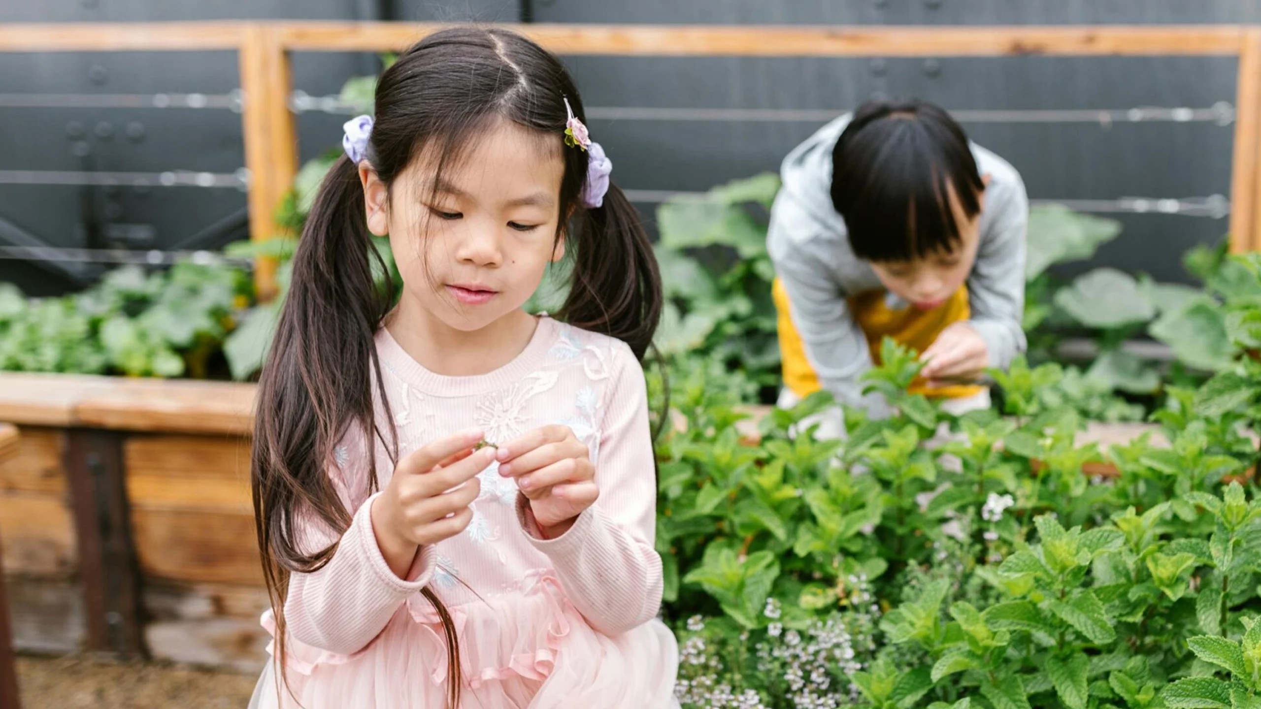 What We Know About The National Autism Program Bill